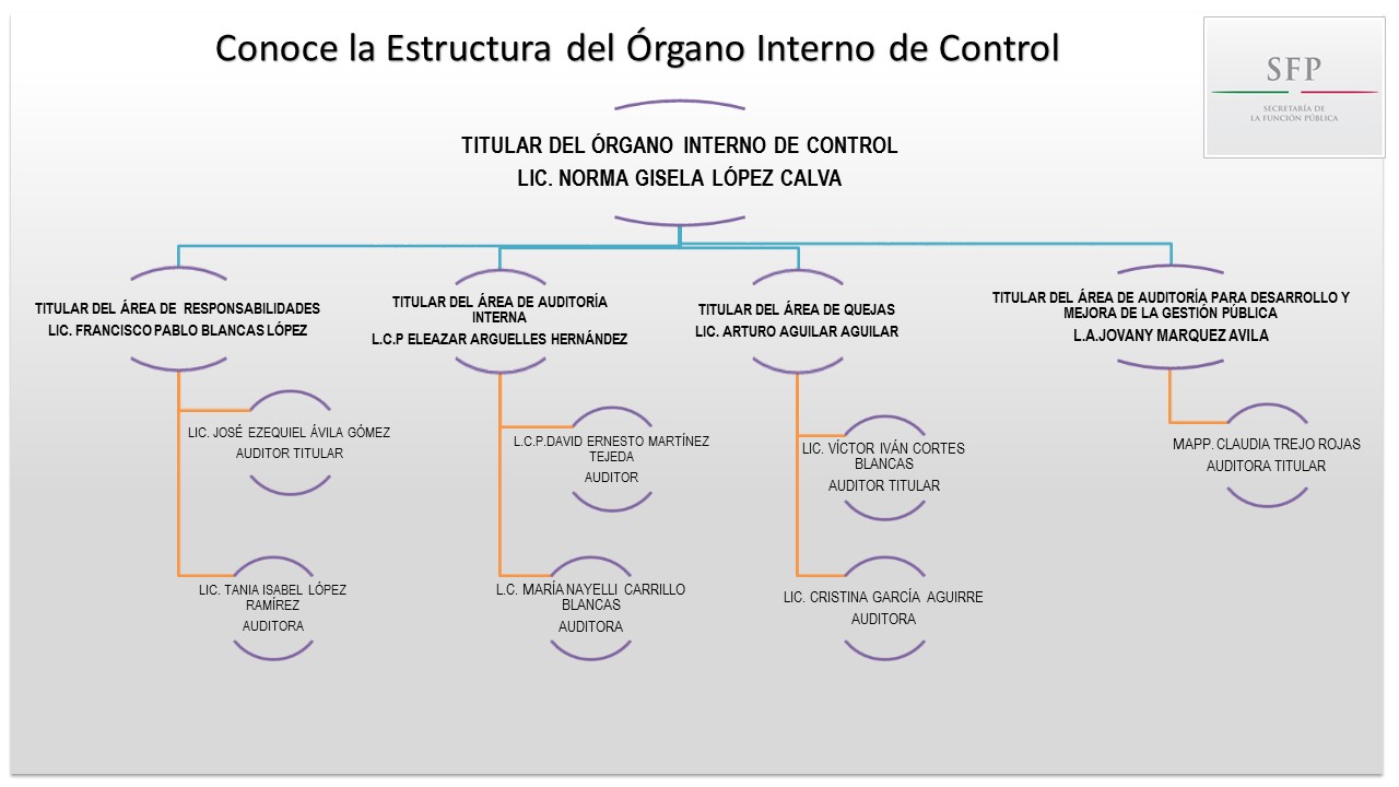 Organo Interno de Control